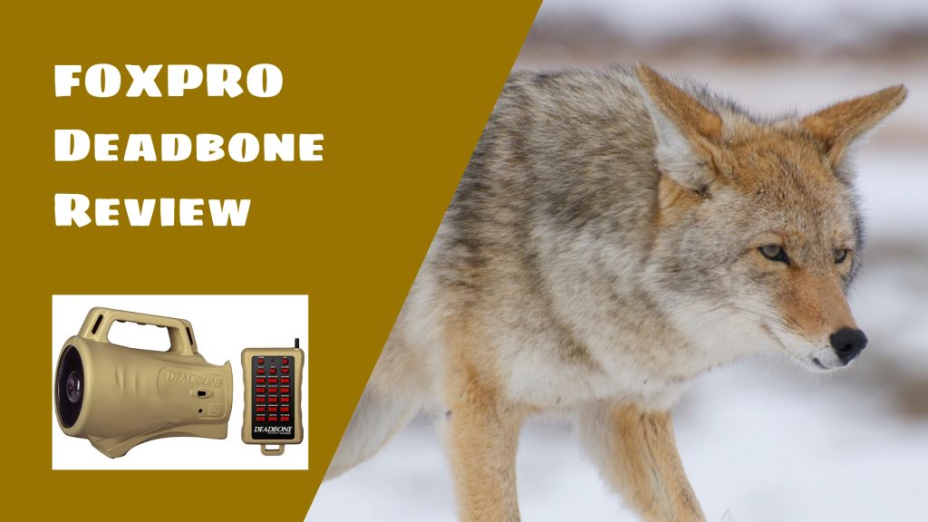 FOXPRO XWave Review: Premium Design & Technology Combined