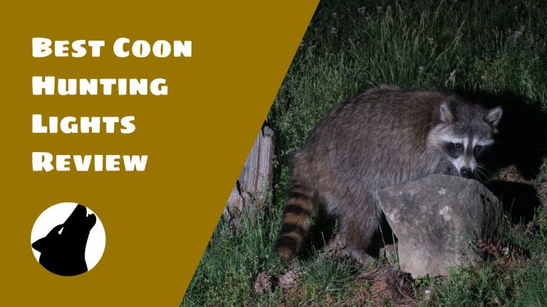 Review Of The Best Coon Hunting Lights For The Money